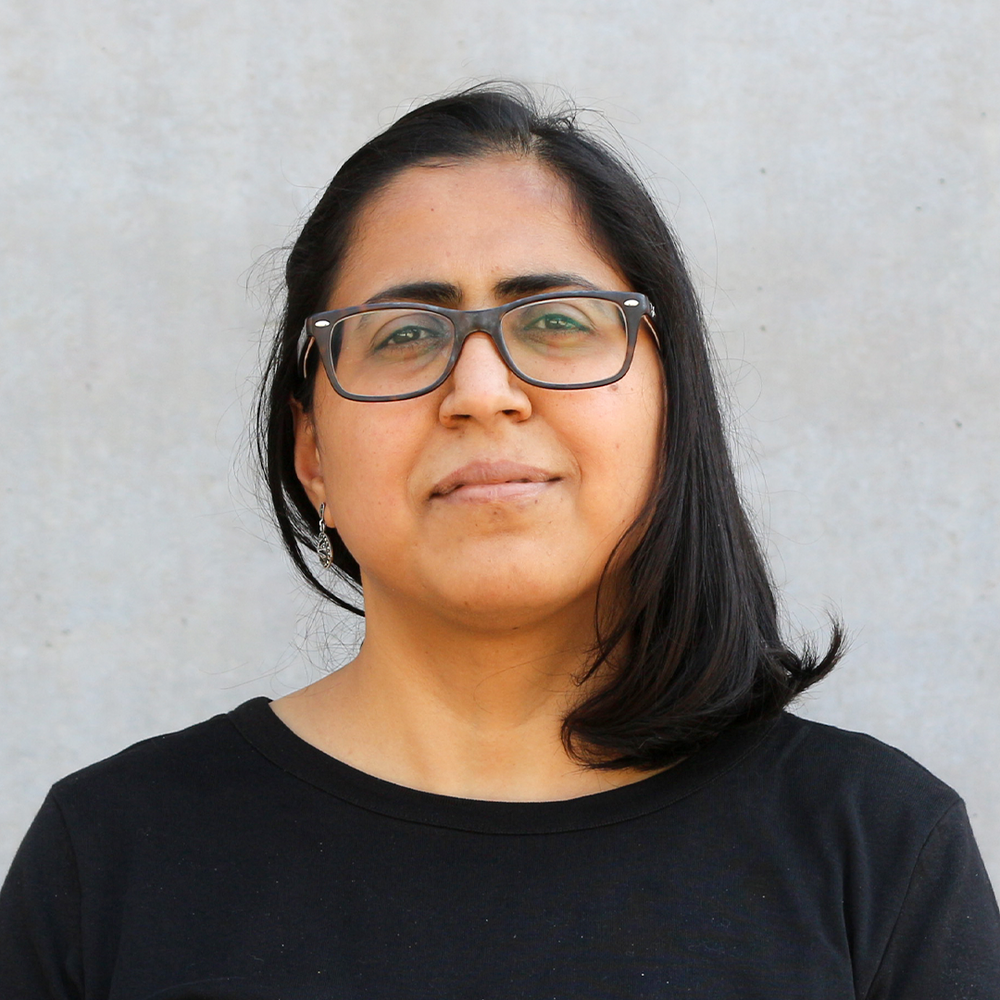 Minu Agarwal, Assistant Professor at CEPT University - CEPT University
